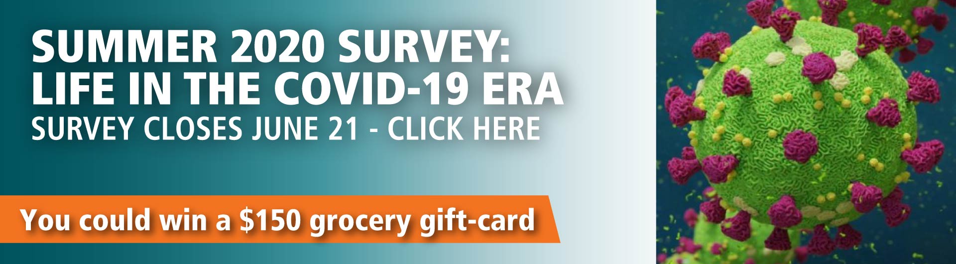 Kitsap Transit | Kitsap Transit